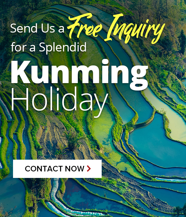 Kunming Travel Guide, Introducing China's Spring City