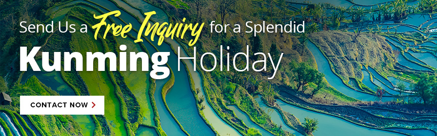 Kunming Travel Guide, Introducing China's Spring City